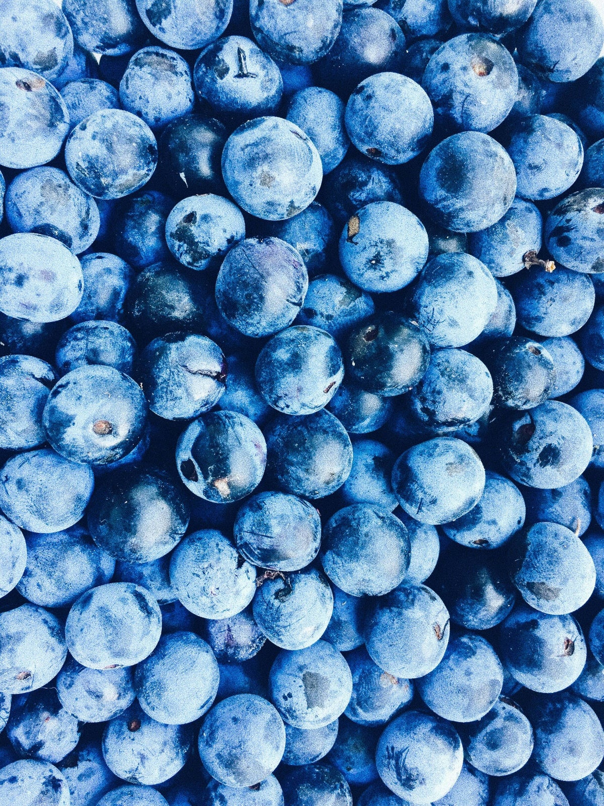 Frozen Wild Blueberries